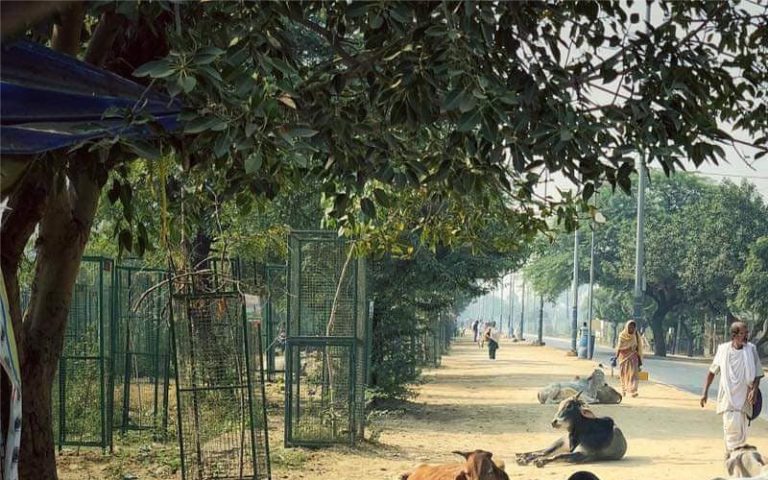 Govardhan Parikrama, Govardhan Parikrama Distance | Shri Mathura Ji