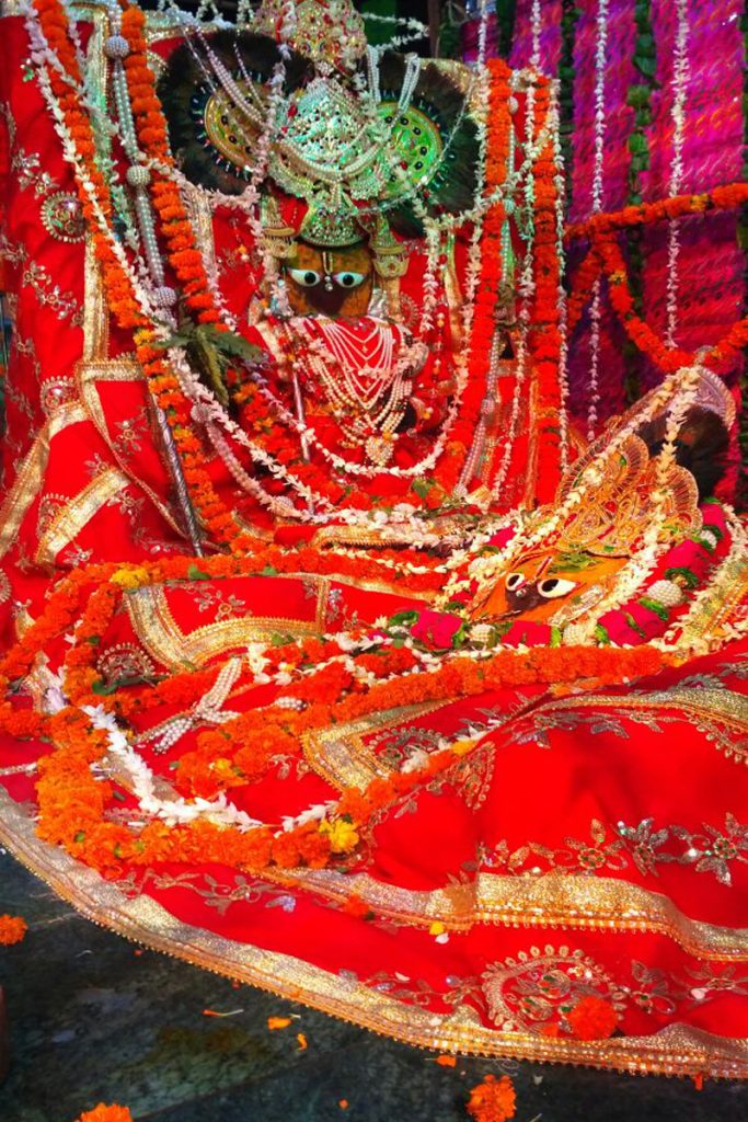 Book Govardhan Parikarma Packages for 1-7 days | Shri Mathura Ji